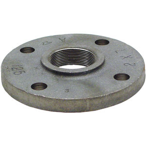 2" NPT Class 125 Black Malleable Thrd Flat Faced Flange | Fastenal